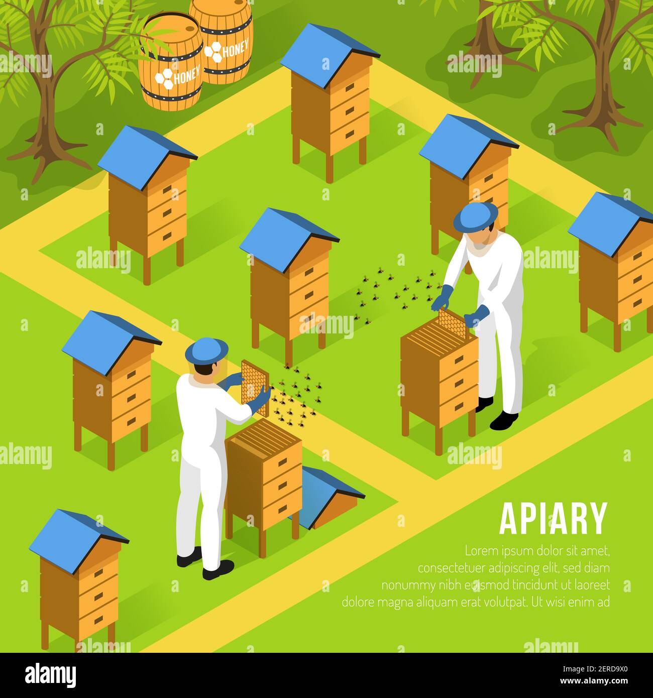 Beekeepers in protective clothing at apiary during work with hives and ...