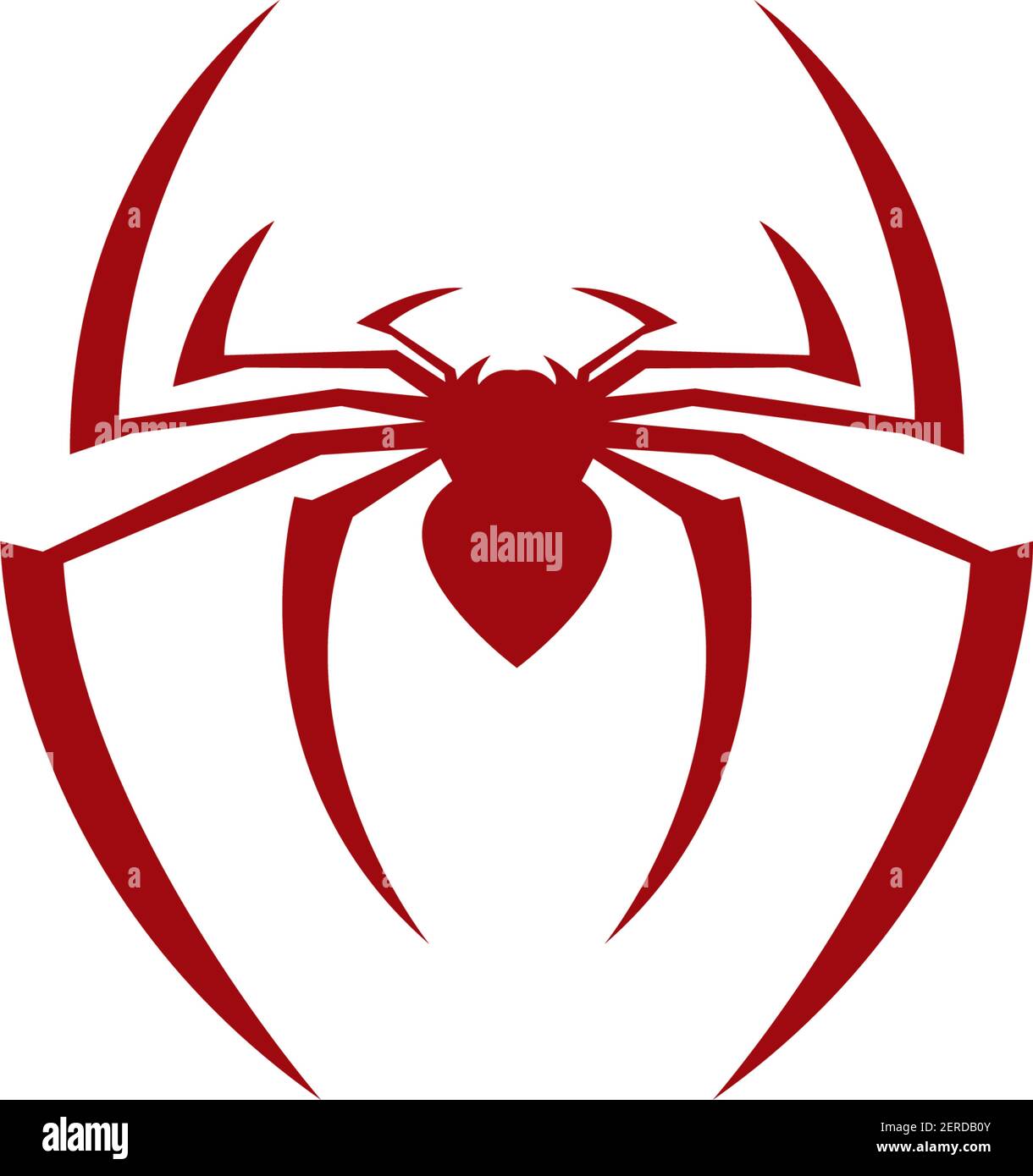 Spider logo template vector icon illustration design Stock Vector Image ...