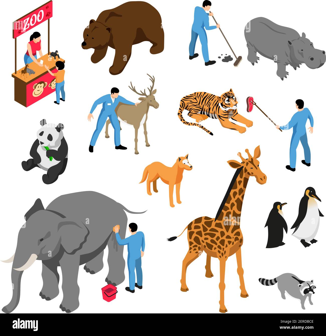 Man feeding hippo Stock Vector Images - Alamy