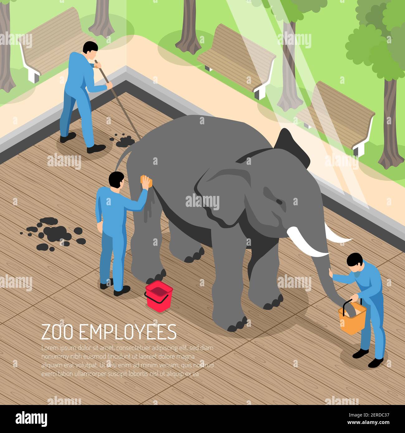 Zoo workers with professional tools during feeding and washing elephant ...