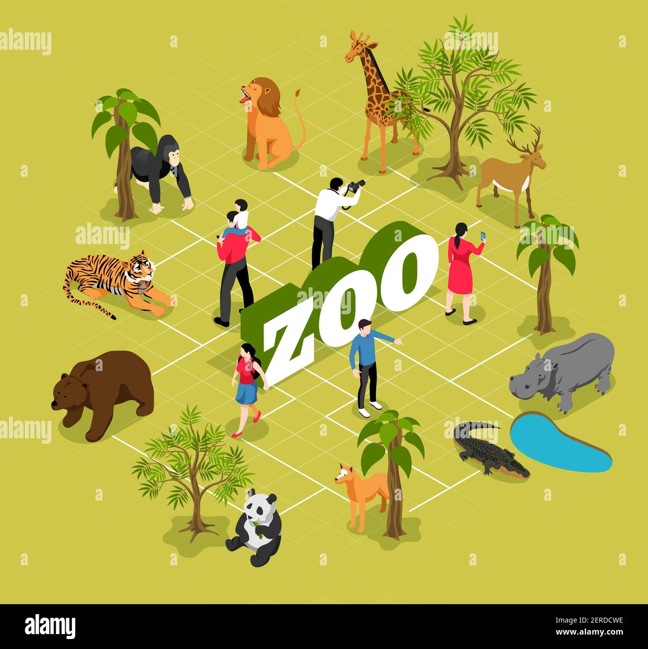 Tiger pool zoo Stock Vector Images - Alamy