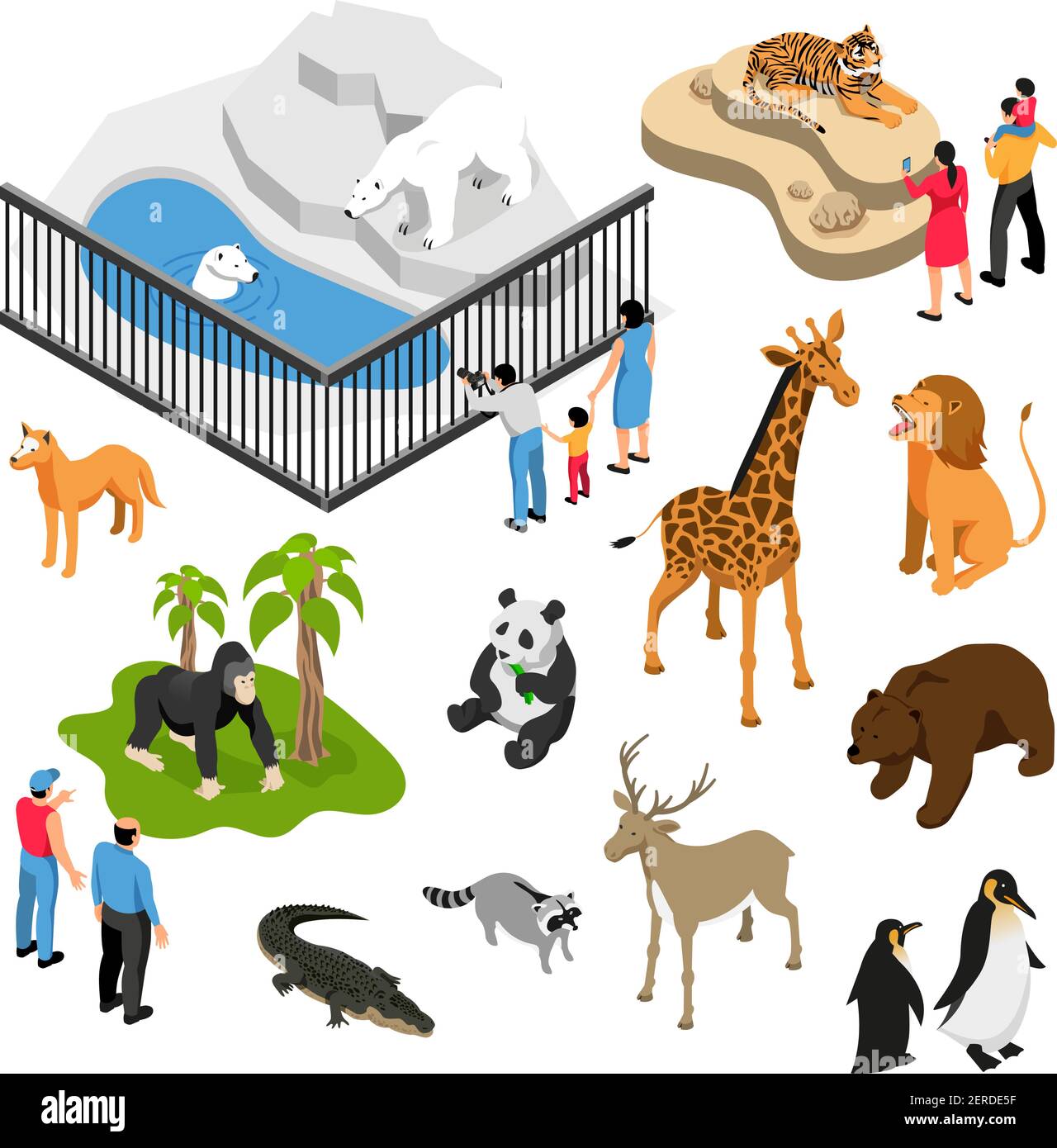 Isometric set of animals and people during visit to zoo on white ...