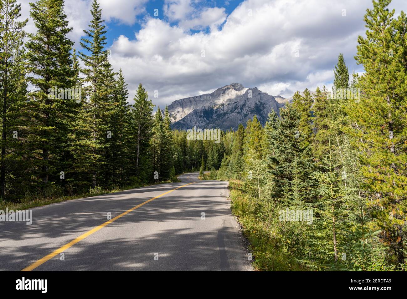 Mountain road in the forest in summer time. Lake Minnewanka scenic ...