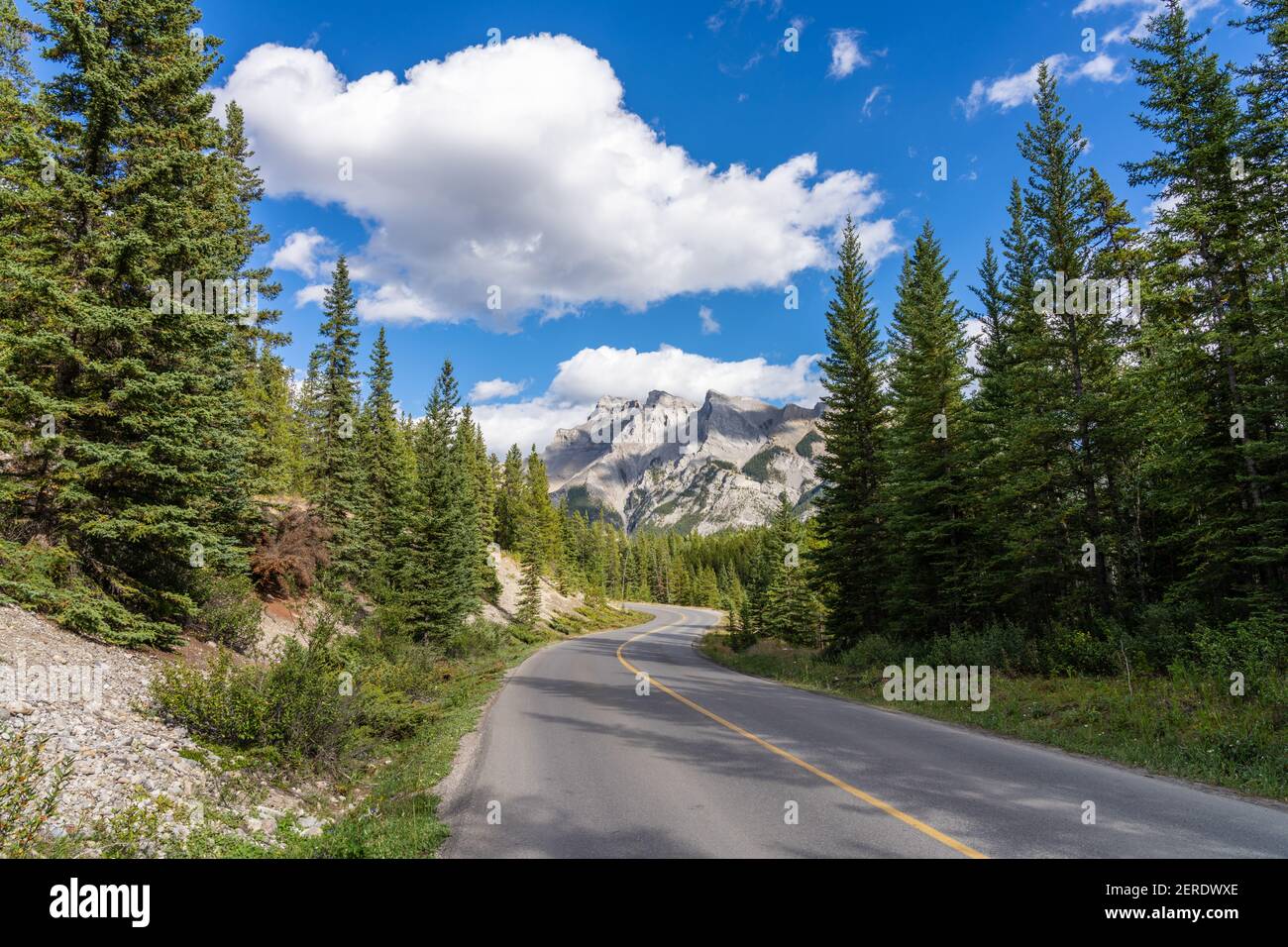 Mountain forest drive hi-res stock photography and images - Alamy