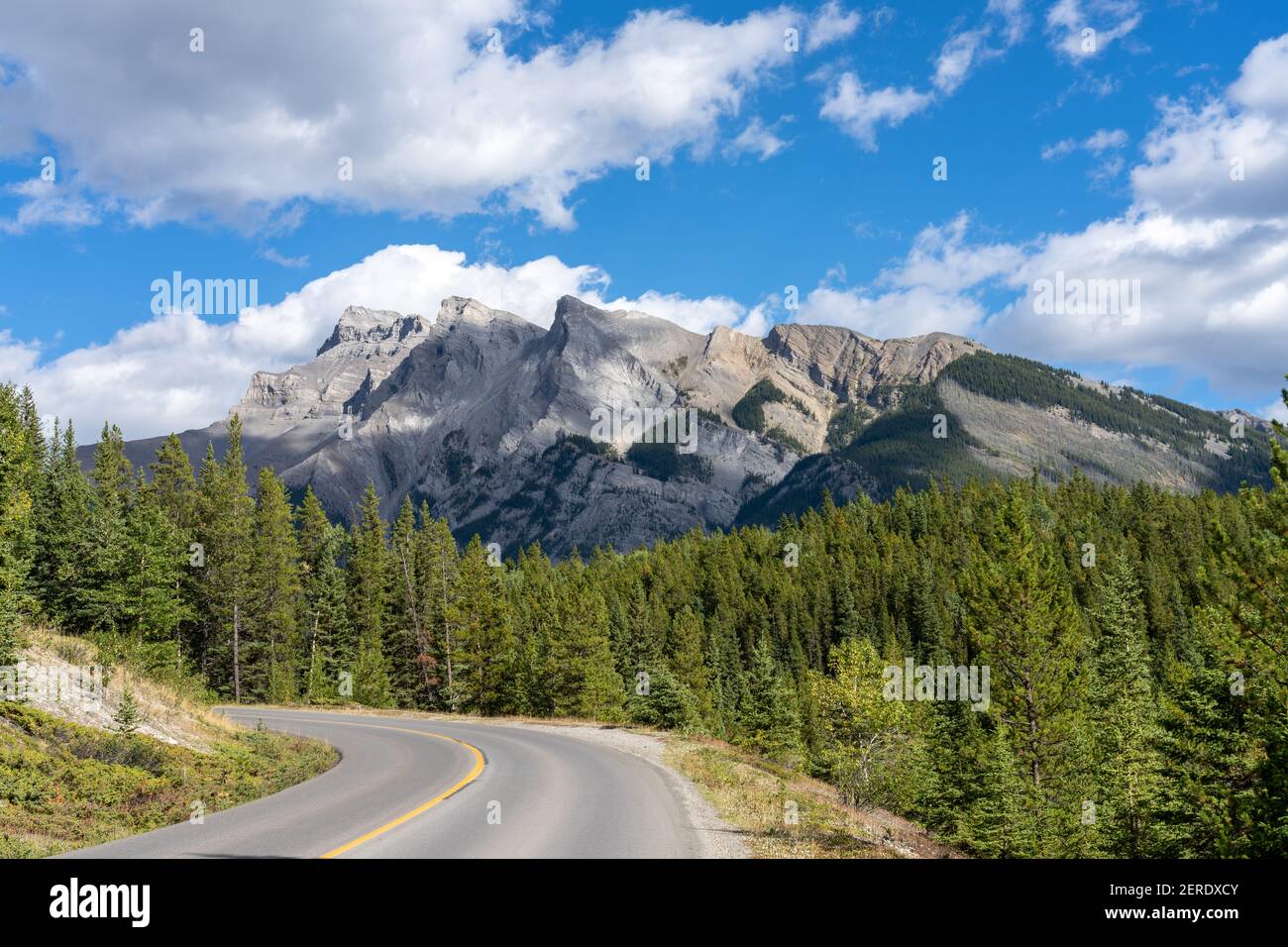 Mountain road in the forest in summer time. Lake Minnewanka scenic ...