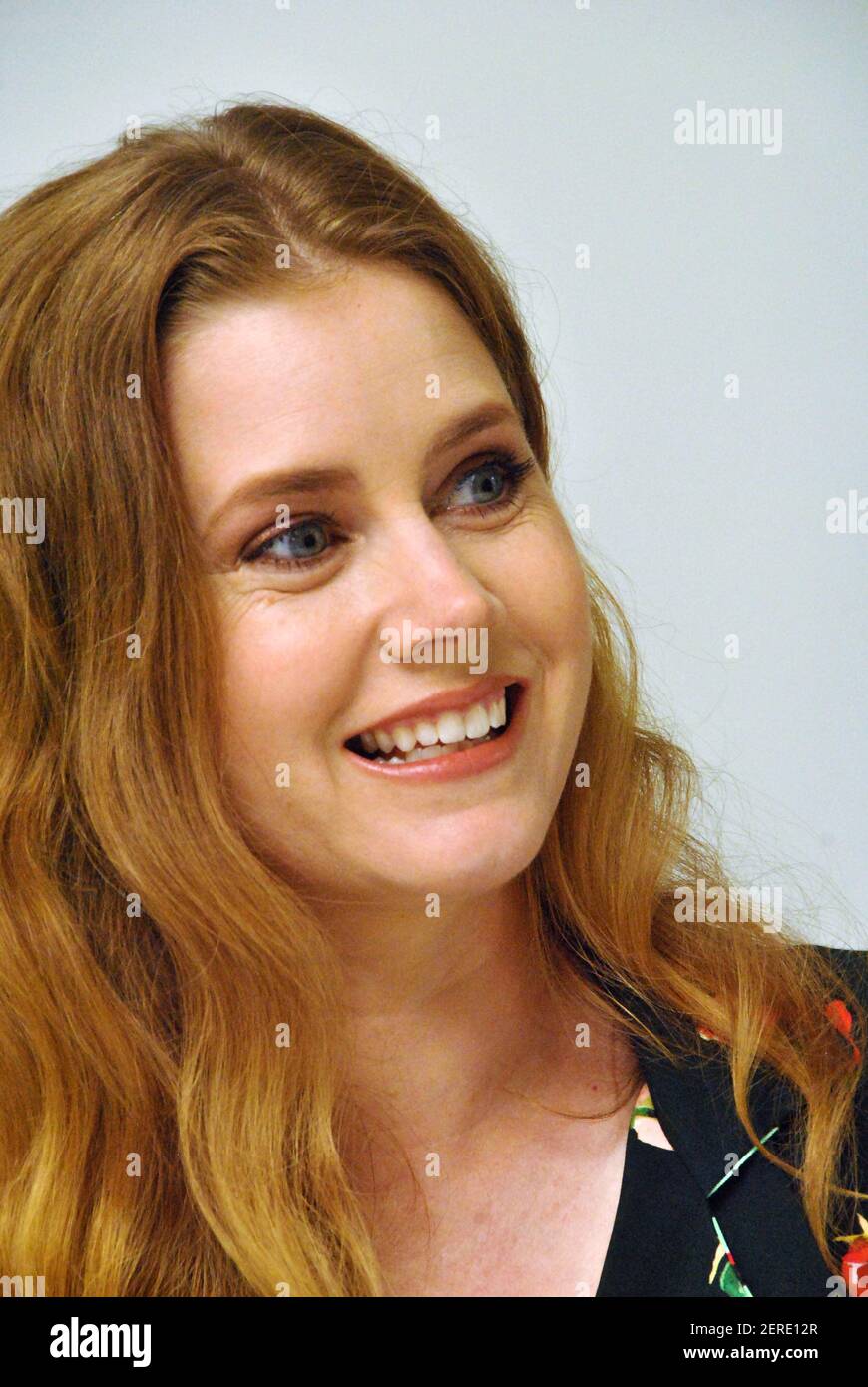 Amy Adams at the Hollywood Foreign Press Association press conference ...