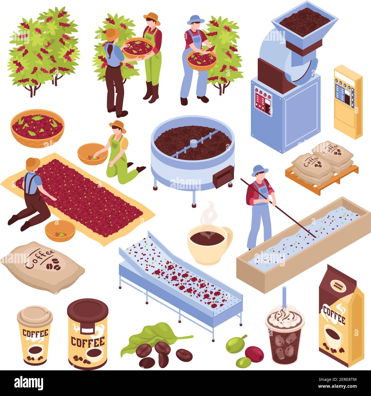 Isometric coffee production set with isolated images representing ...