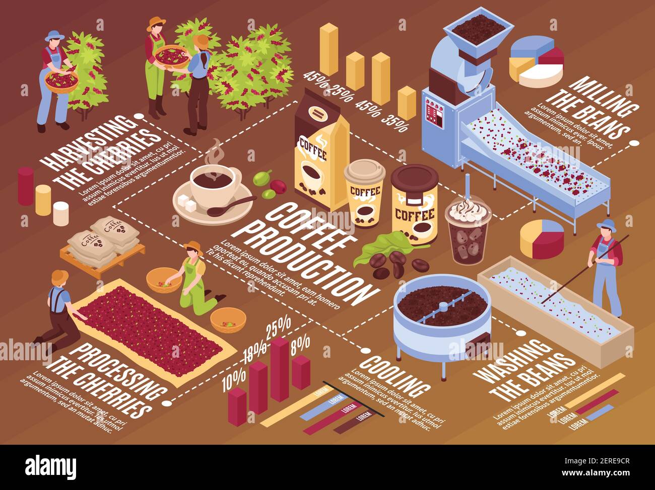 Isometric coffee production horizontal flowchart composition with ...