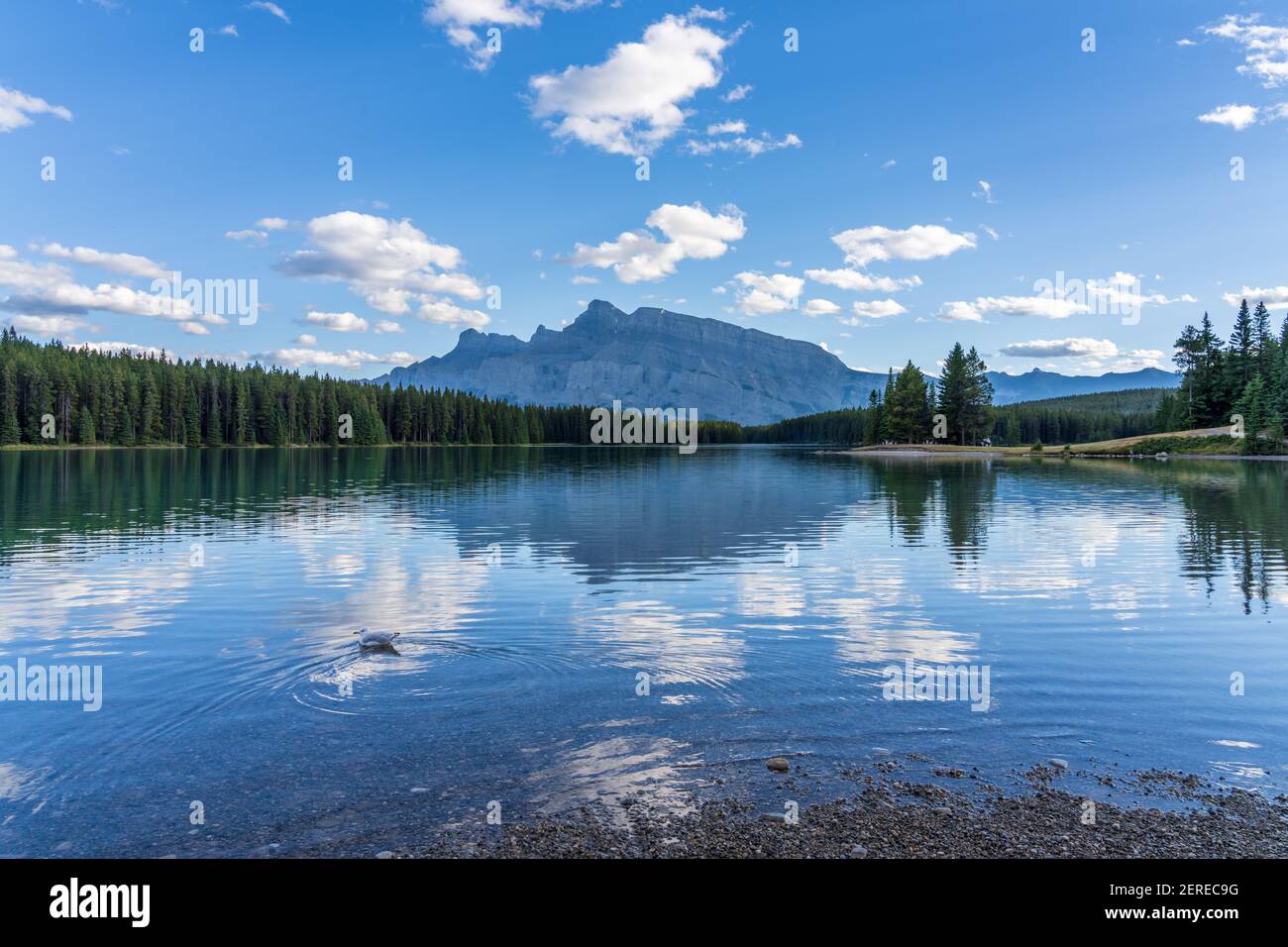 Two Jack Lake beautiful landscape in summer day. Mount Rundle with blue ...