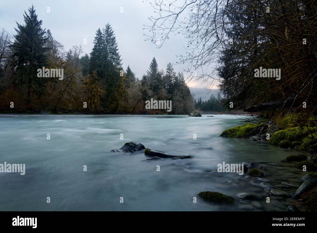 Riverbank of Queets River, Queets rainforest, Olympic National Park ...