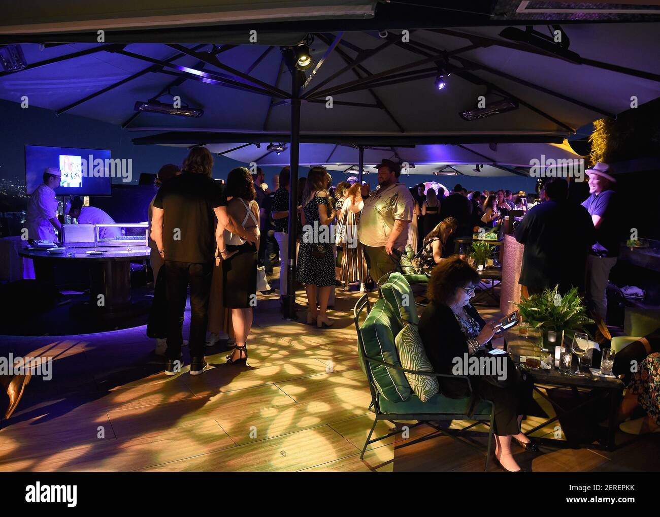 BEVERLY HILLS - JULY 24: National Geographic's 'Summer TCA Kickoff ...