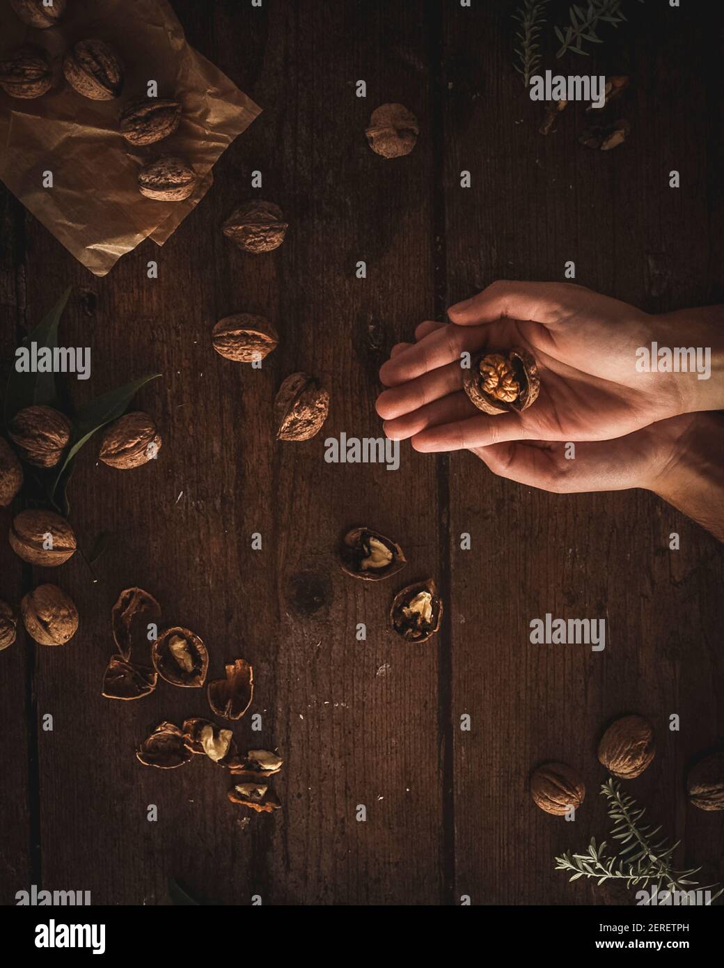 Warm walnut scene Stock Photo - Alamy