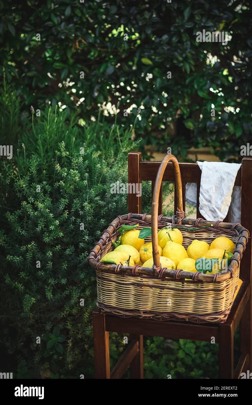 Bright lemons hi-res stock photography and images - Alamy