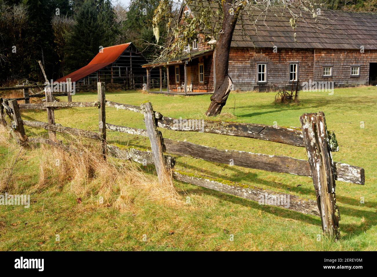 Rainforest house hi-res stock photography and images - Alamy