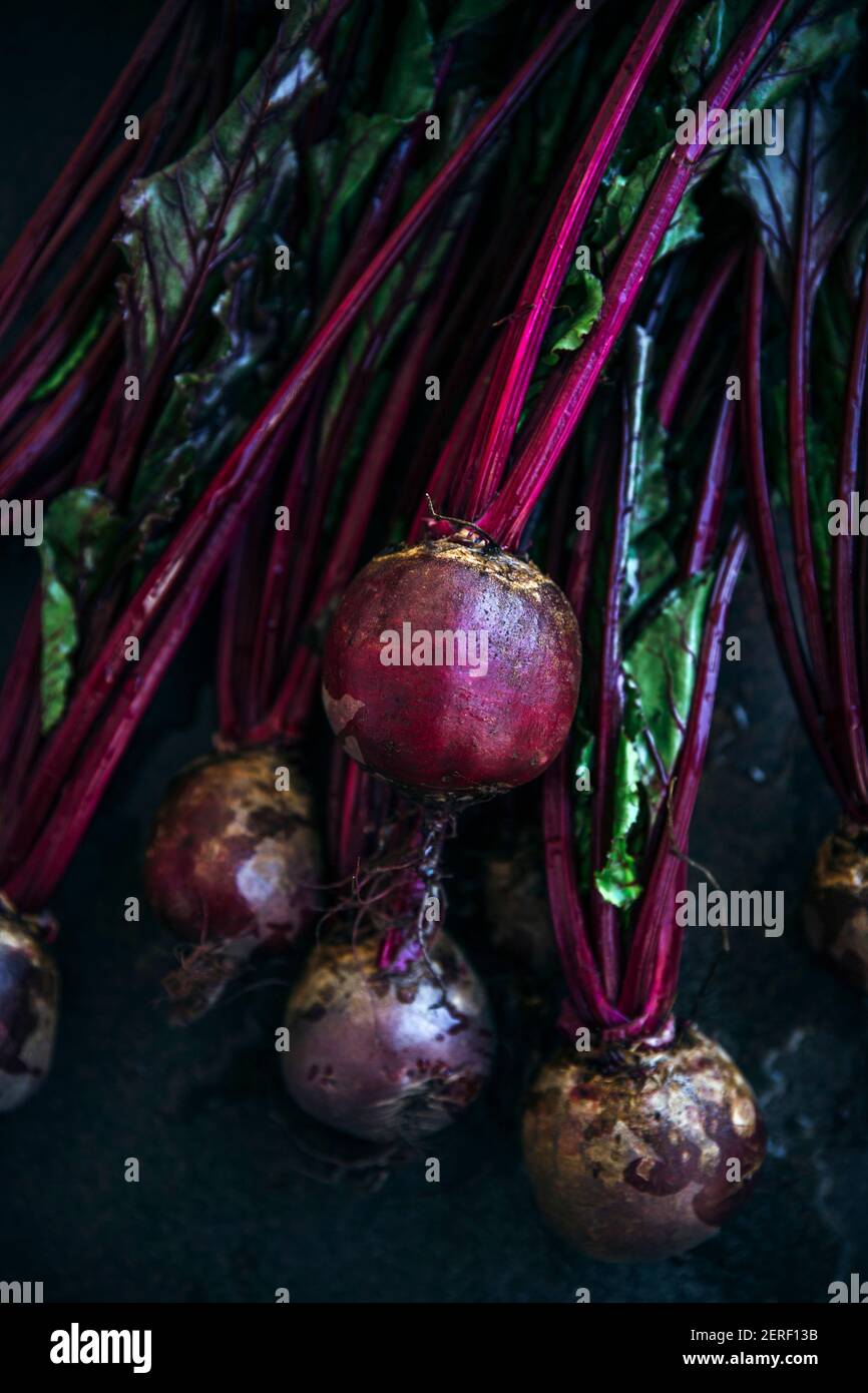 Beetroot with stems hi-res stock photography and images - Alamy
