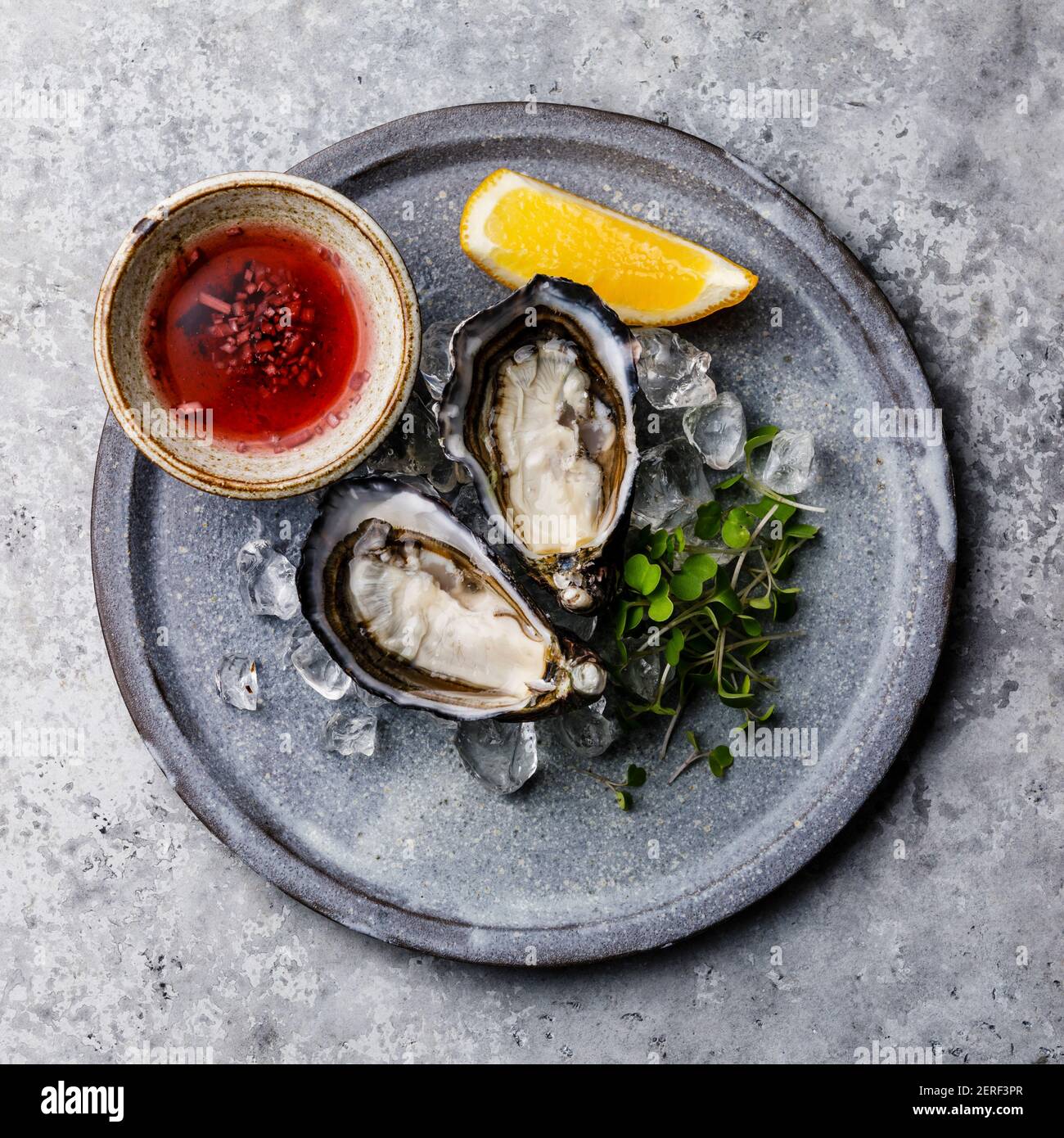Fresh open Oysters Fin de Claire on ice and Mignonette sauce on gray ...