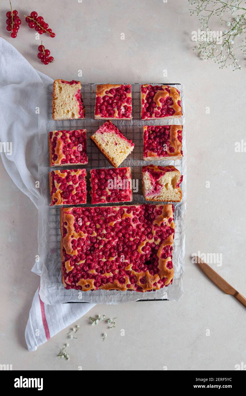 Seasonal coffee cake with red currants Stock Photo - Alamy