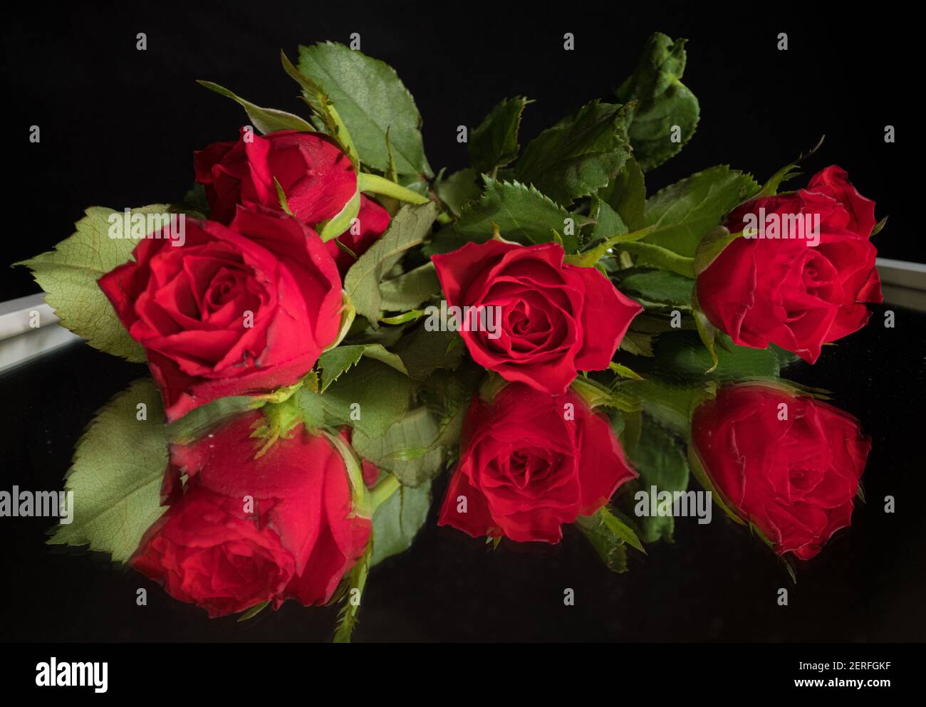 Very large mixed roses bouquet hi-res stock photography and images - Alamy
