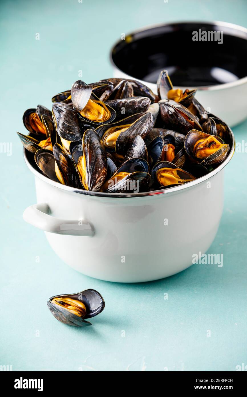 Pot full of steamed mussels on blue background. Shellfish seafood Stock ...