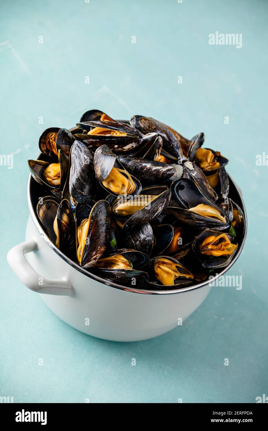 Pot full of steamed mussels on blue background. Shellfish seafood Stock ...