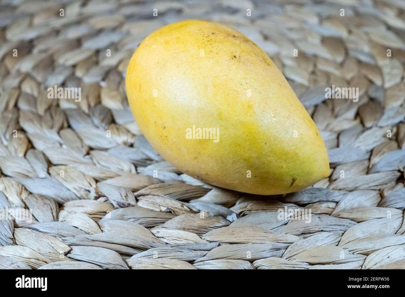 The 'Ataúlfo' mango, also called young, baby, yellow, honey, Adaulfo ...