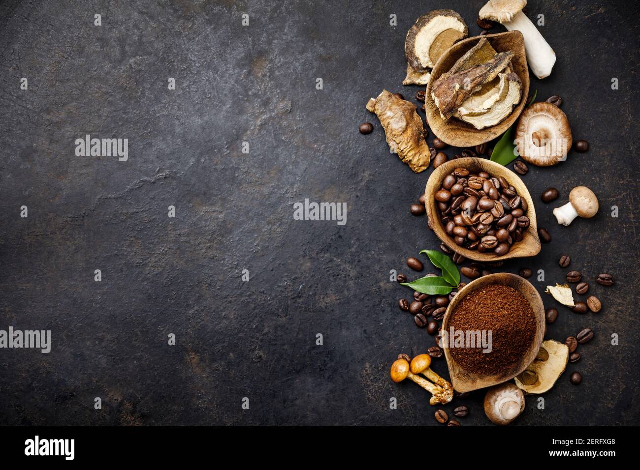 Mushroom Chaga Coffee Superfood Trend-dry and fresh mushrooms and ...