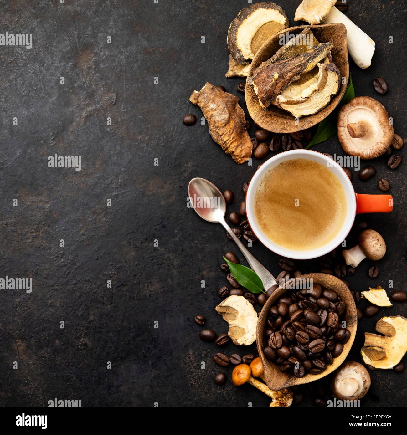 Mushroom Chaga Coffee Superfood Trend-dry and fresh mushrooms and ...