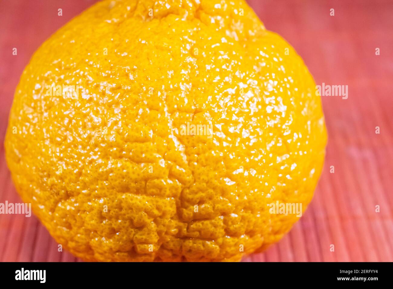 Dekopon is a seedless and sweet variety of mandarin orange Stock Photo ...