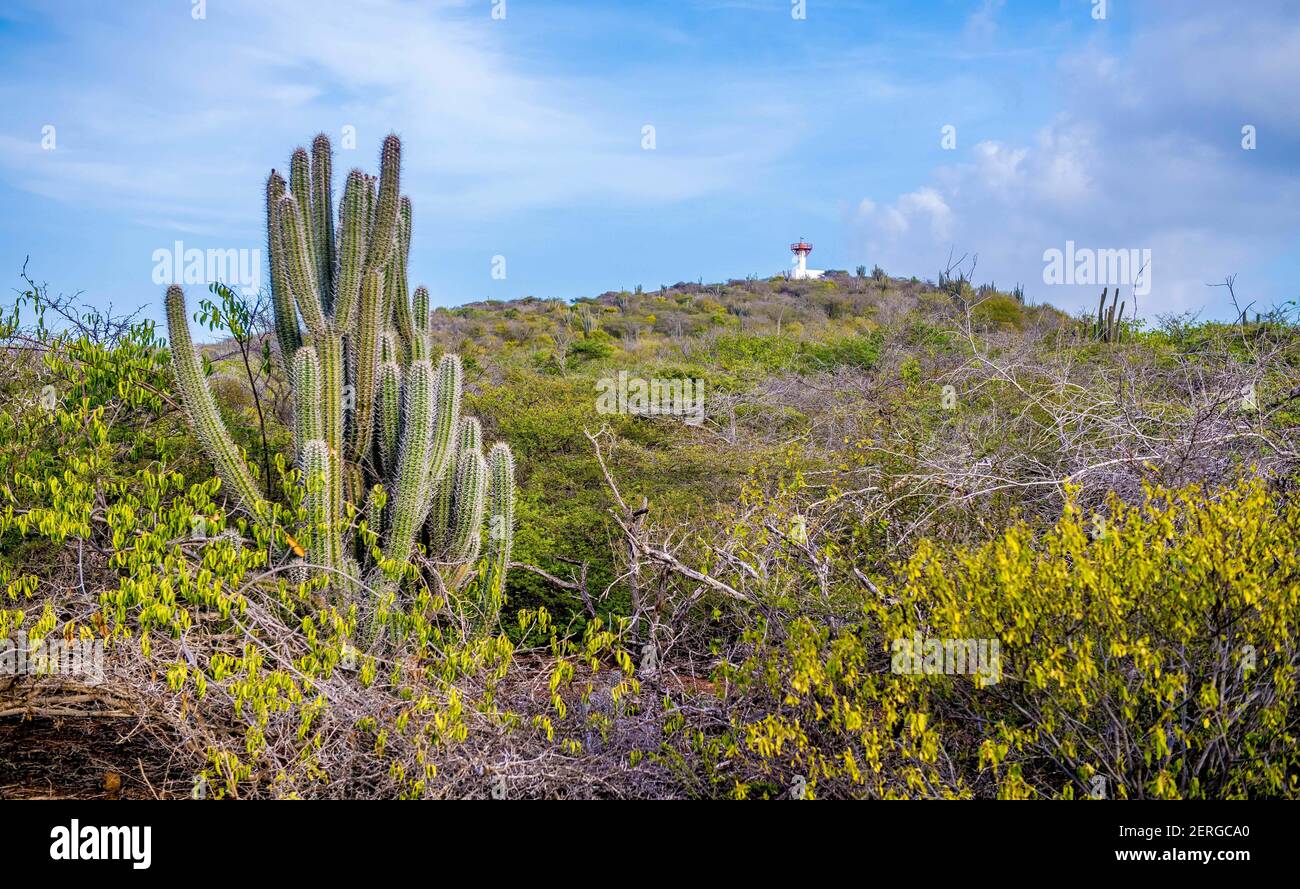 Curacao, Dutch Caribbean island life, known for the Koningin Emmabrug ...