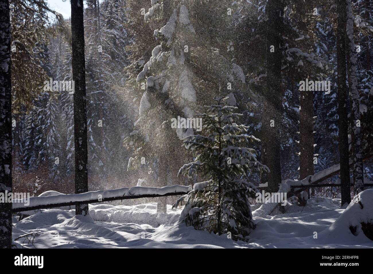 Randy Winter | atelier-yuwa.ciao.jp