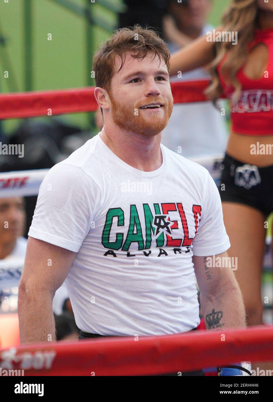 Saul 'Canelo' Alvarez at Canelo vs. GGG2 LA Media Workout held at Banc ...