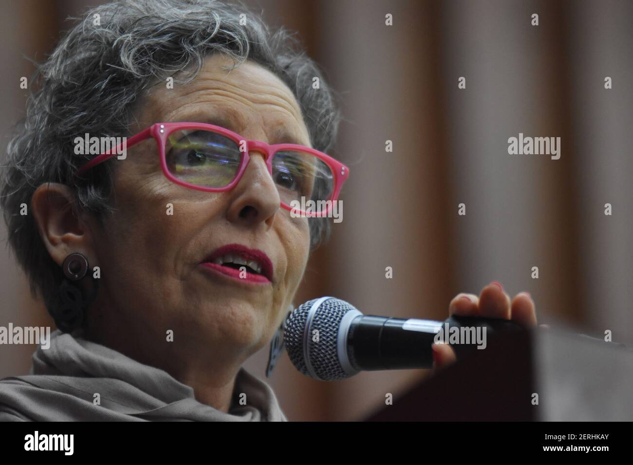 Raquel Rolnik Brazilian architect and former Special Rapporteur on ...