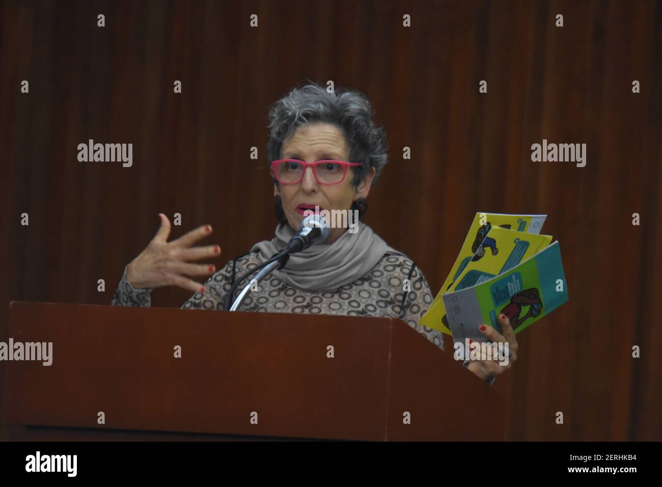 Raquel Rolnik Brazilian architect and former Special Rapporteur on ...