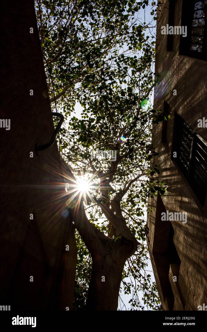 Sun starlight hi-res stock photography and images - Alamy