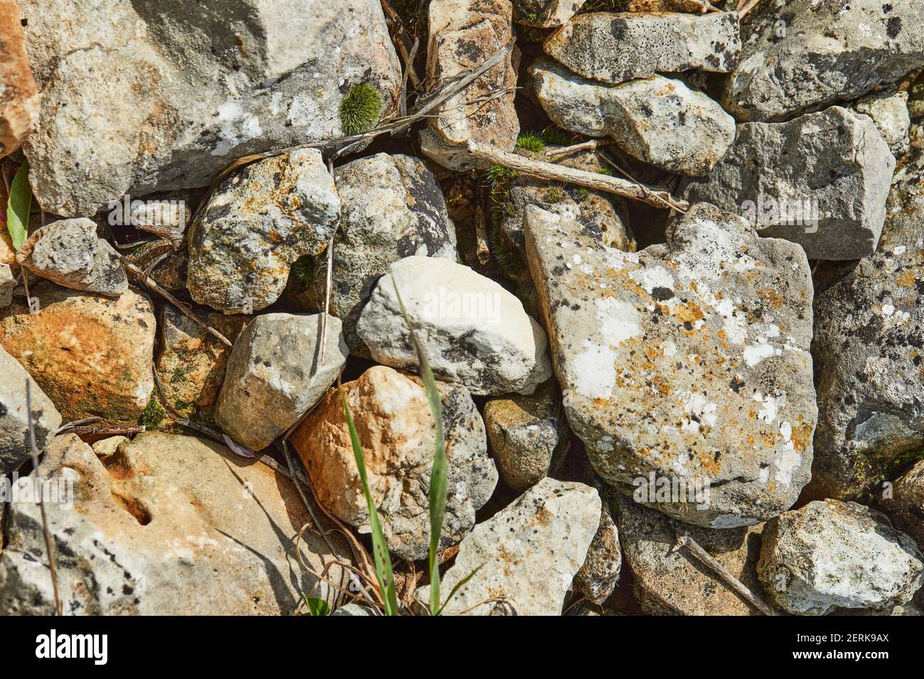 Natural stone texture and surface background in high resolution Stock ...