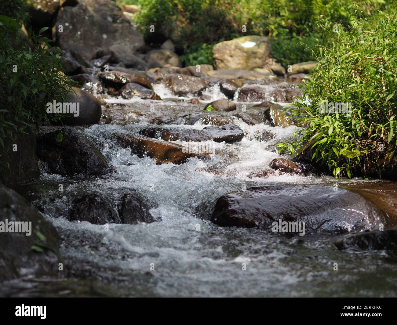 close-up photo of the flow of water in the river Stock Photo - Alamy