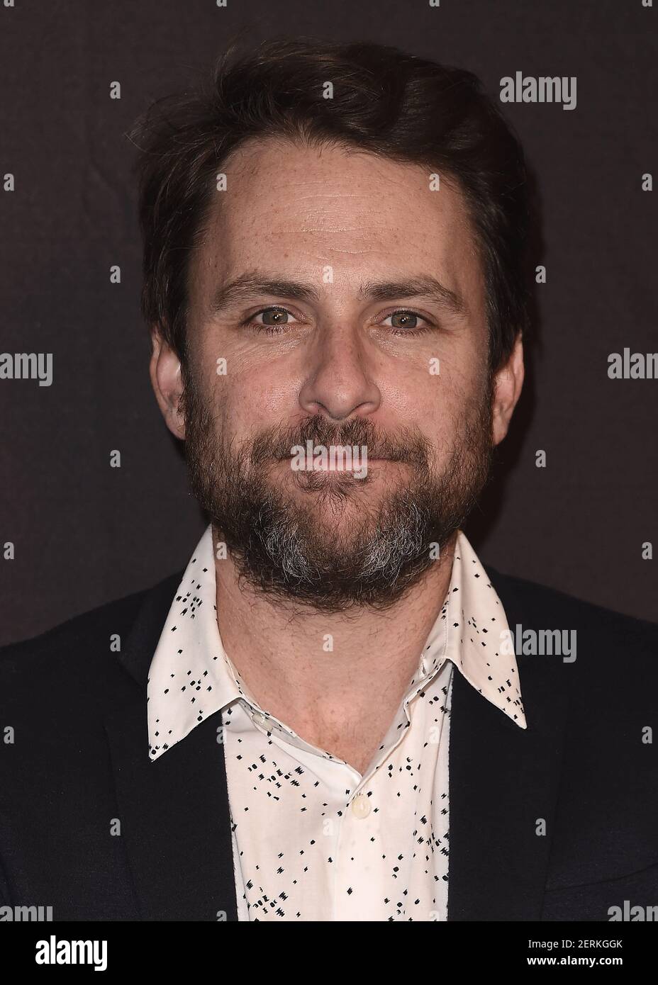 Charlie Day Kid