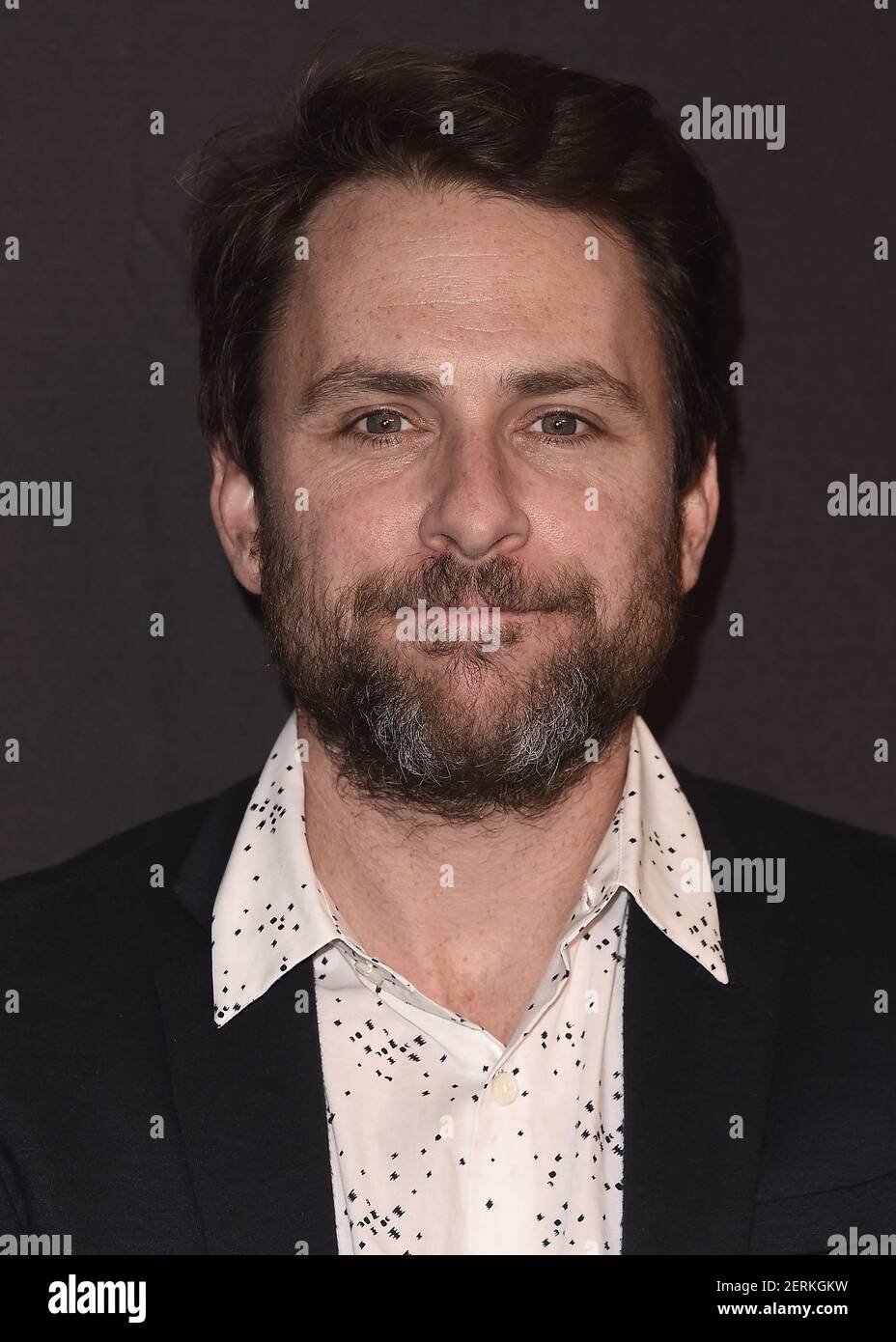 Charlie Day Kids