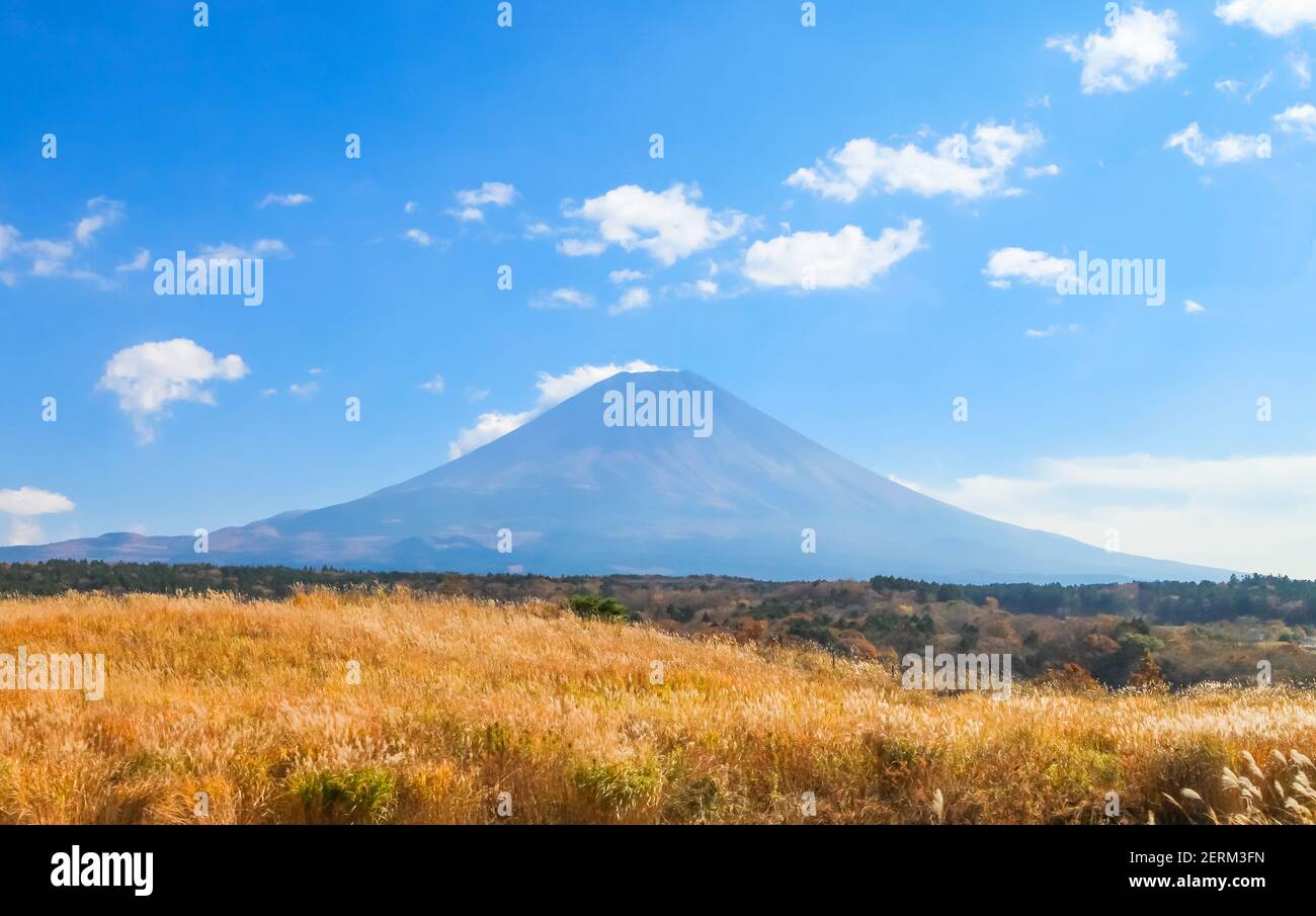 Beautiful Mount Fuji with Nature background and blue sky., japan Stock ...