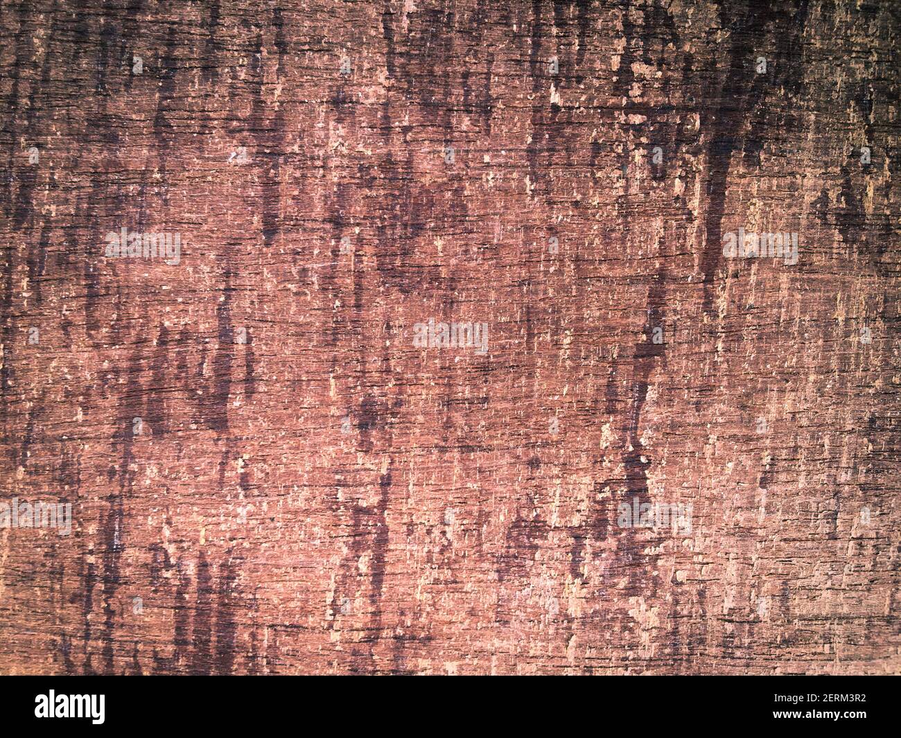 Texture of rustic wood background with copy space for work Stock Photo ...