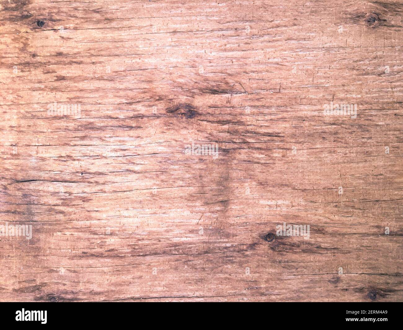 Blank of wood texture background for design with copy space Stock Photo ...
