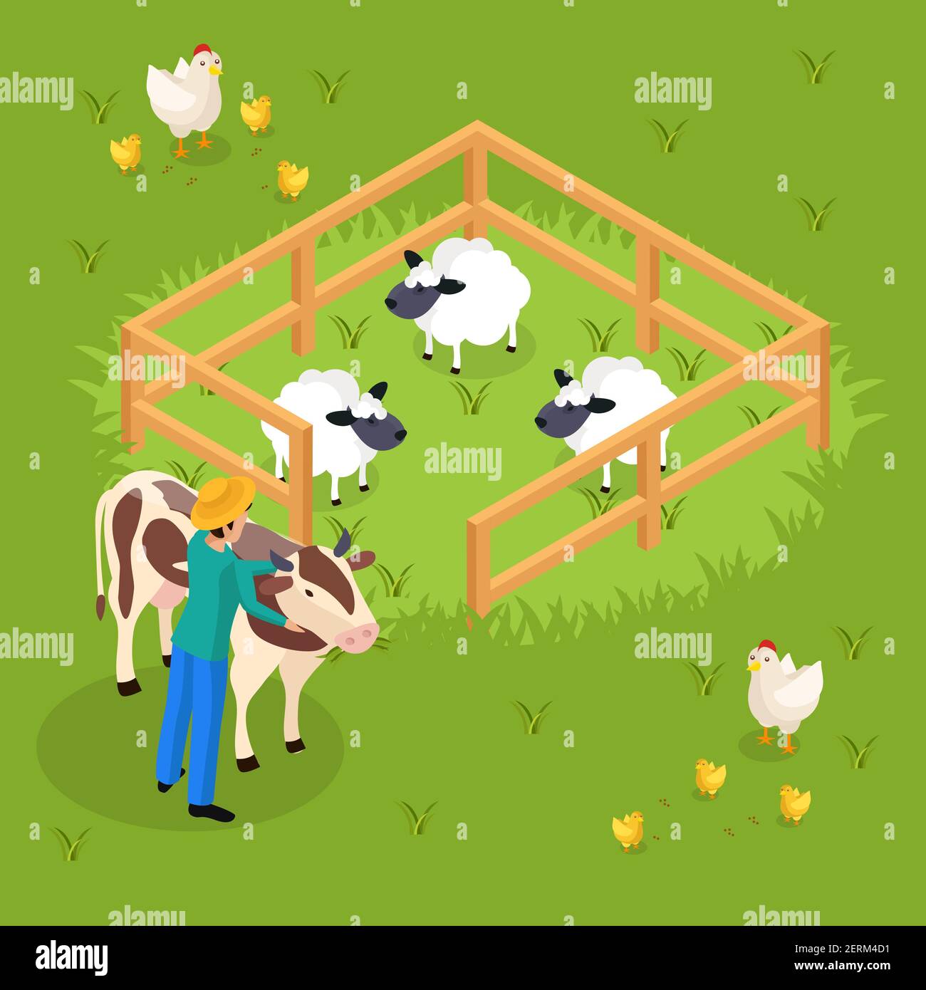 Ordinary farmers life isometric background with cattle and farm animals ...