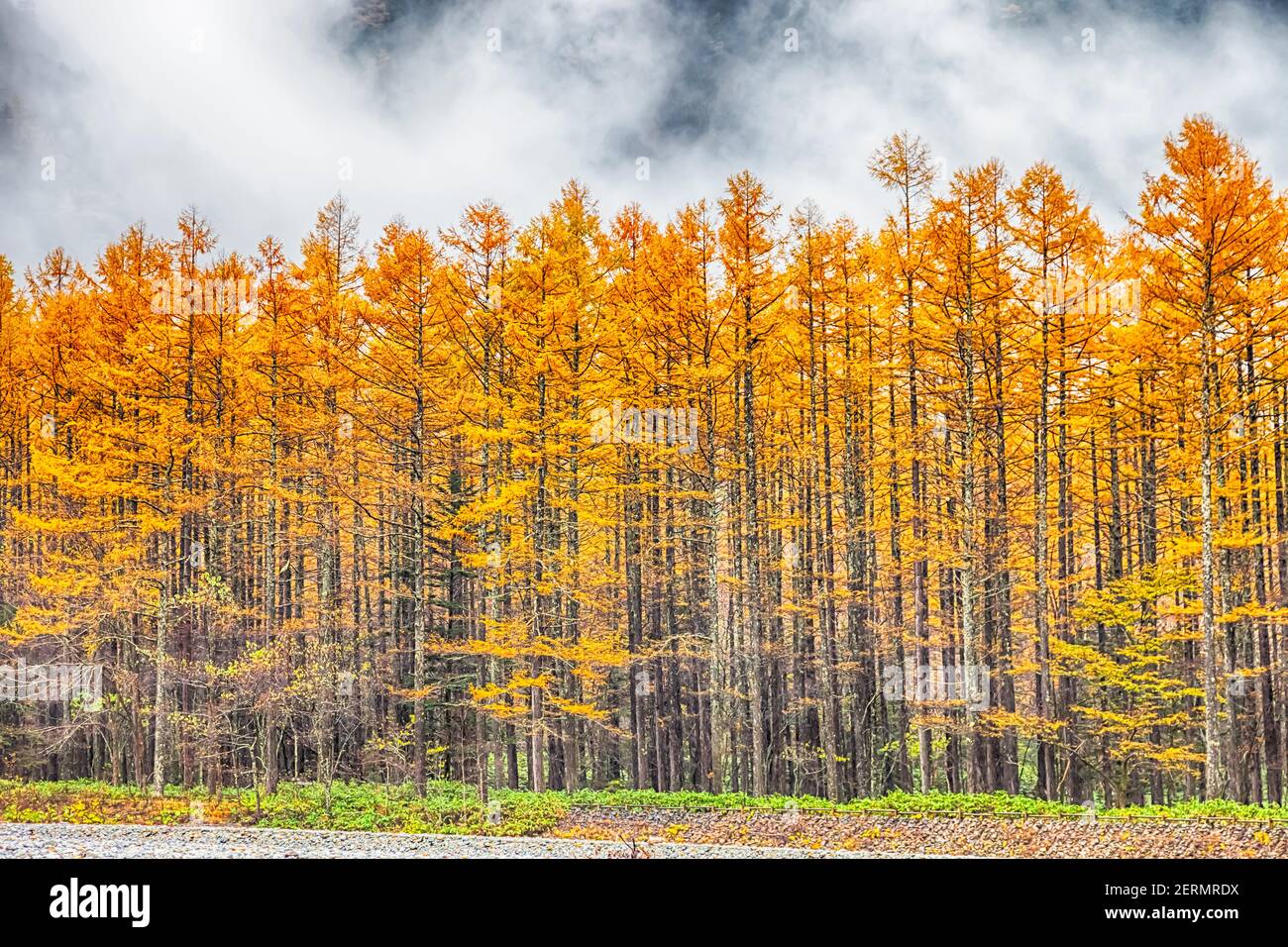Kamikochi National Park in the Northern Japan Alps of Nagano Prefecture ...