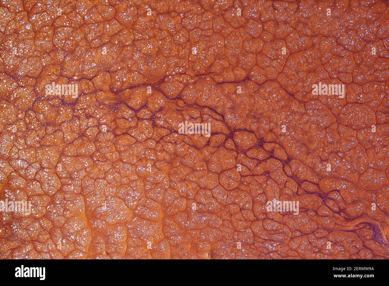 Sparkling fluid texture hi-res stock photography and images - Alamy