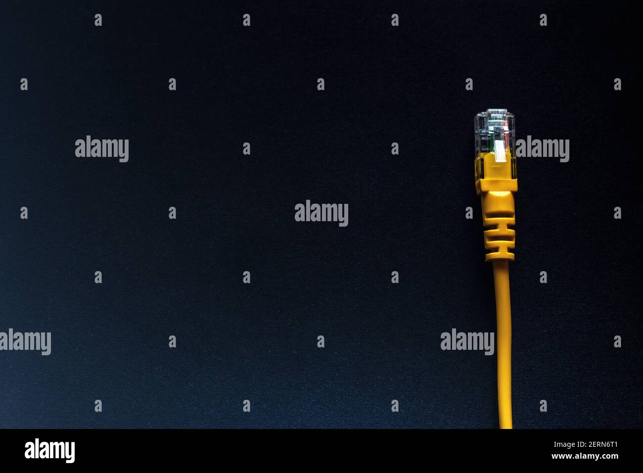 yellow network internet cable on a black background close-up with space ...