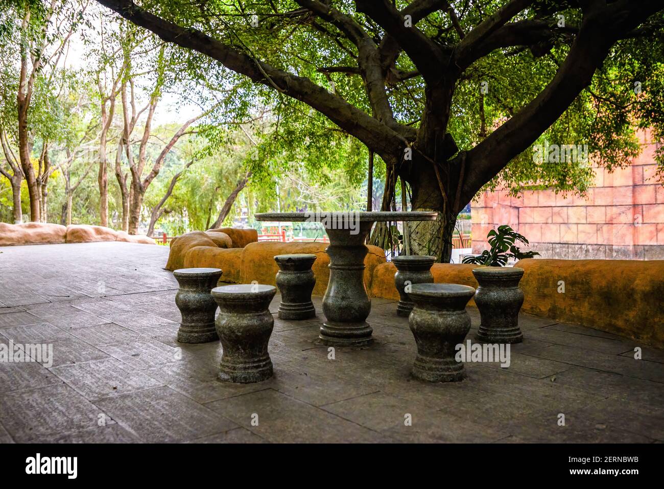 Round tables and stools under the banyan tree Stock Photo - Alamy