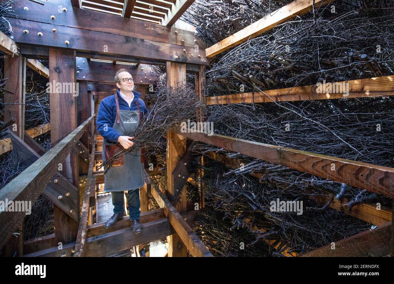 Master Salter High Resolution Stock Photography and Images - Alamy