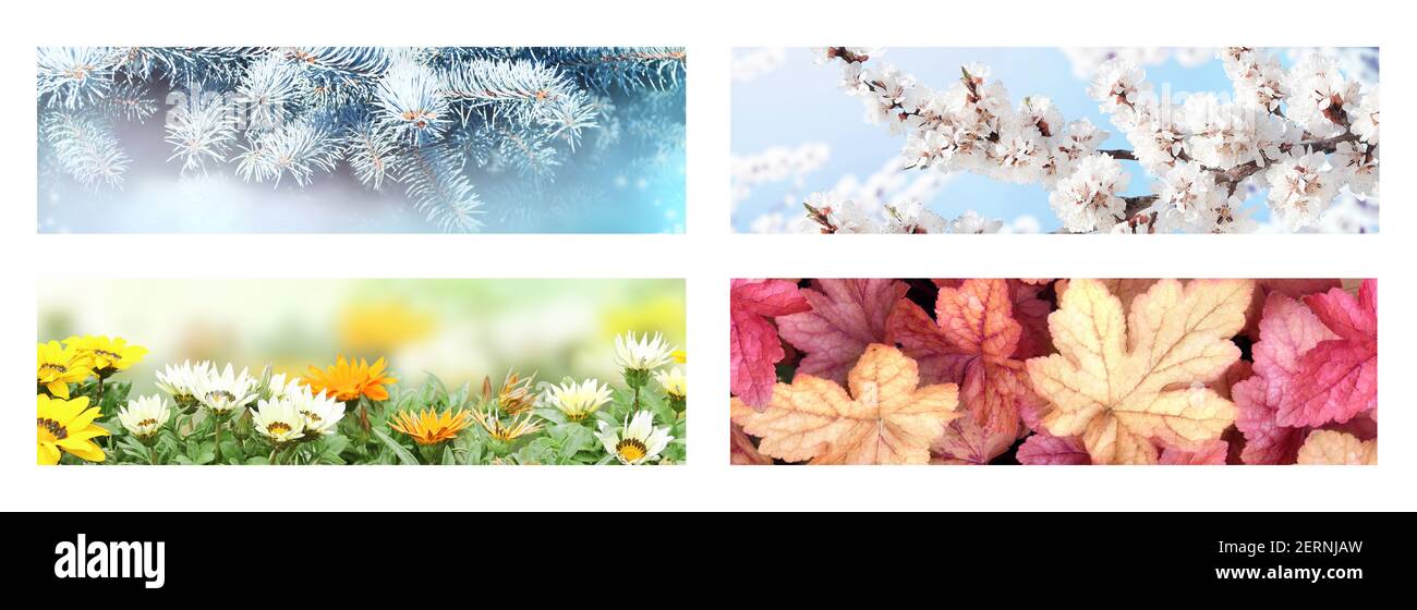 Four seasons of year. Set of horizontal nature banners with winter ...