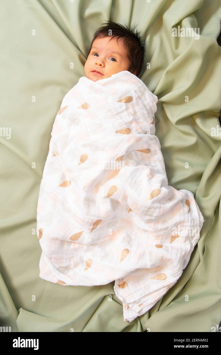 Lebanese born hi-res stock photography and images - Alamy
