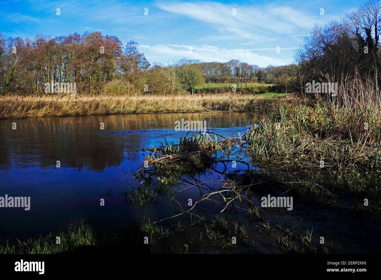 Norfolk countryside winter walk hi-res stock photography and images - Alamy